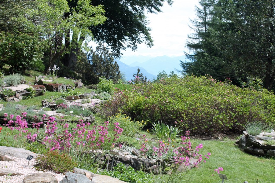 Garden Housecalls - Gardens That Make You Want to Applaud