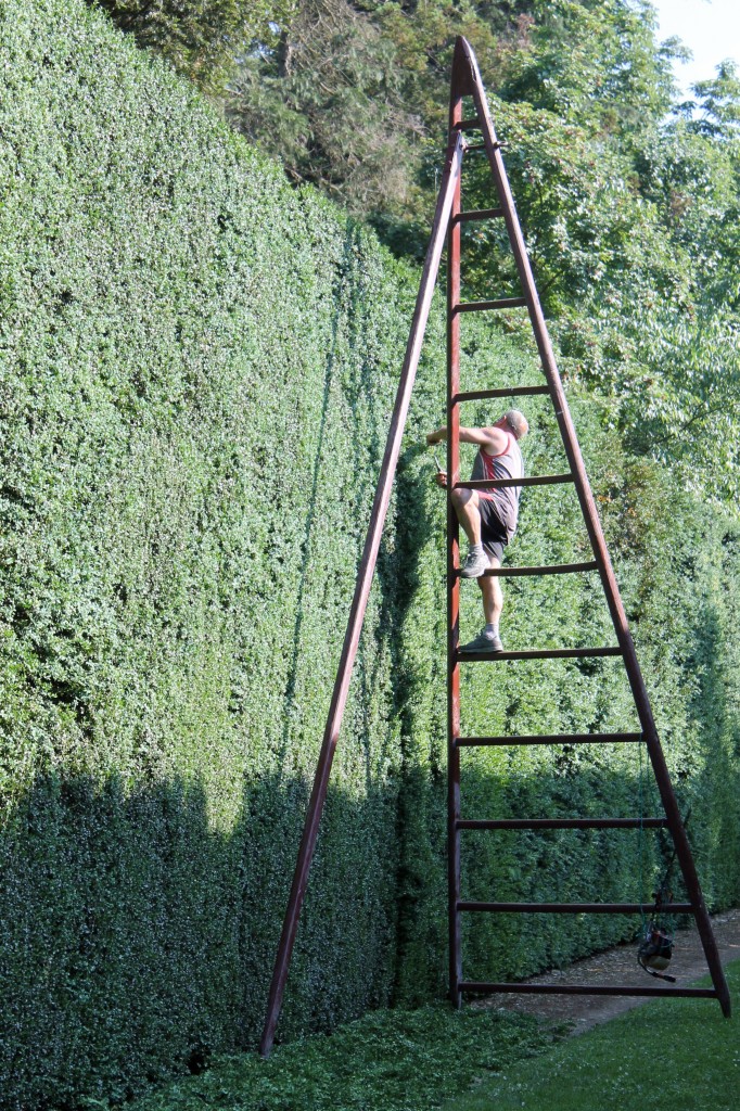 Garden Housecalls - Gardens That Make You Want to Applaud