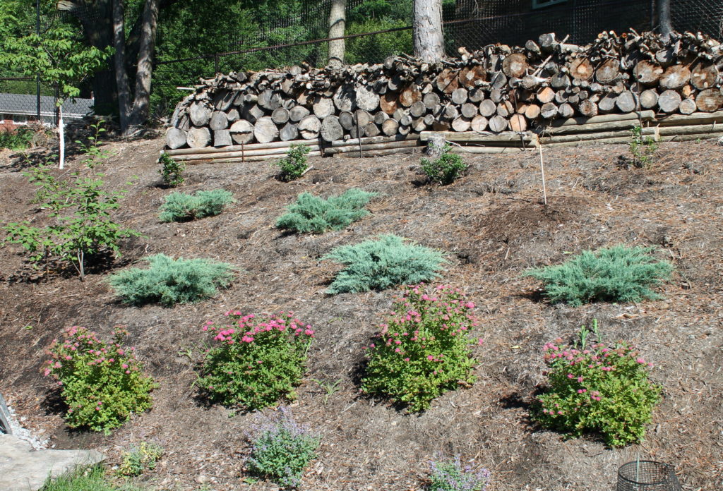 Taking It to the Bank | Garden Housecalls